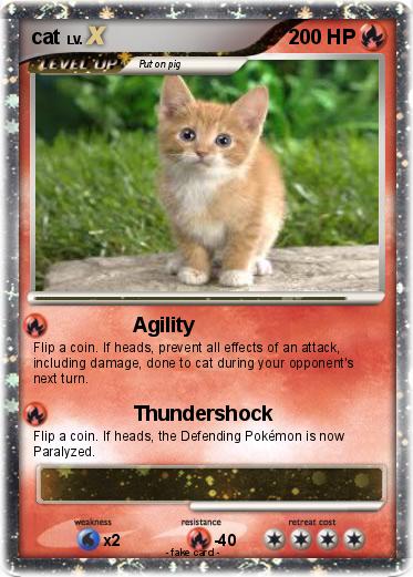 Pokémon cat 2343 2343 - Agility - My Pokemon Card