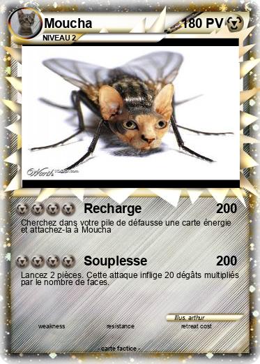 Pokémon Moucha 2 2 - Recharge - Ma carte Pokémon