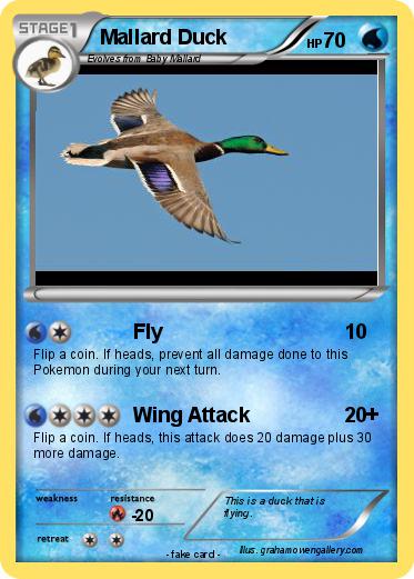 Pokémon Mallard Duck 5 5 - Fly - My Pokemon Card