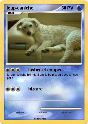 Pokémon loup caniche 38 38 - lavher et couper - Ma carte Pokémon