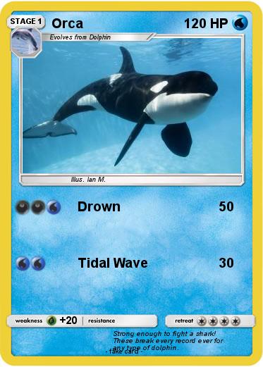 Pokémon Orca 86 86 - Drown - My Pokemon Card