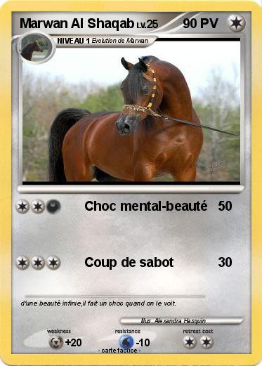 Pokémon Marwan Al Shaqab - Choc mental-beauté - Ma carte Pokémon