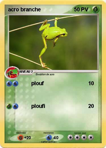 Pokémon acro branche - plouf - Ma carte Pokémon
