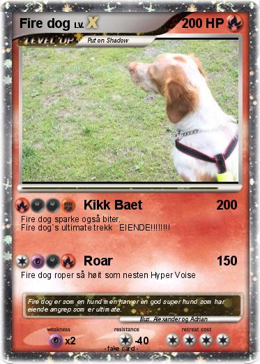 Pokémon Fire dog 22 22 - Kikk Baet - My Pokemon Card
