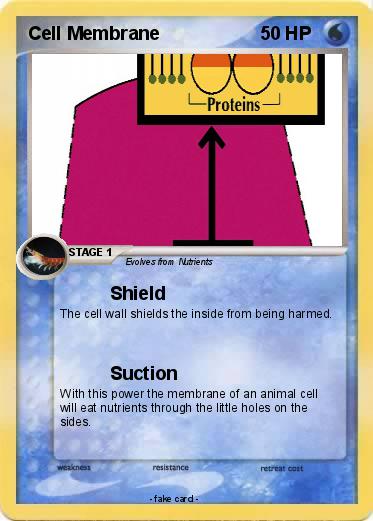 Pokémon Cell Membrane 16 16 - Shield - My Pokemon Card