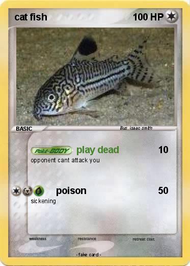 Pokémon cat fish 16 16 - play dead - My Pokemon Card