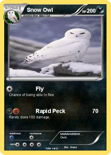 Pokémon Snow Owl 3 3 - Fly - My Pokemon Card