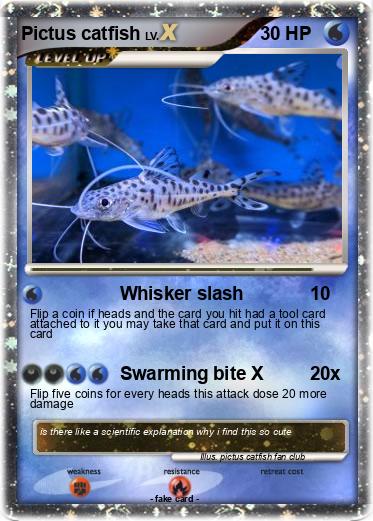 Pokémon Pictus catfish - Whisker slash - My Pokemon Card
