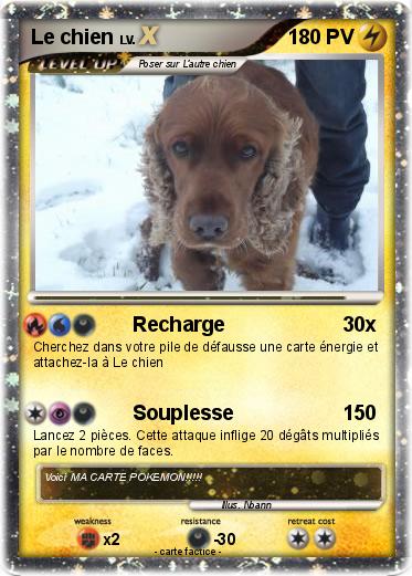 Pokémon Le chien 95 95 - Recharge - Ma carte Pokémon
