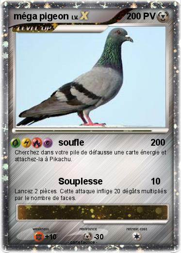 Pokémon mega pigeon - soufle - Ma carte Pokémon