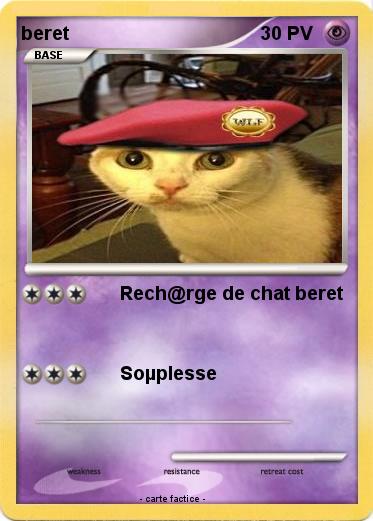 Pokémon beret 4 4 - Rech@rge de chat beret - Ma carte Pokémon