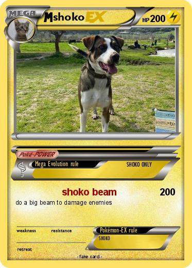 Pokémon shoko 2 2 - shoko beam - My Pokemon Card