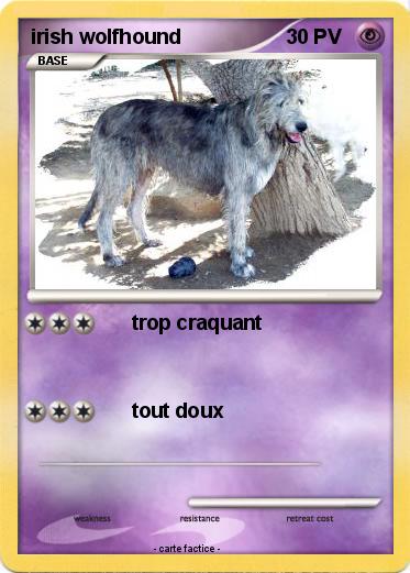 Pokémon irish wolfhound 56 56 - trop craquant - Ma carte Pokémon