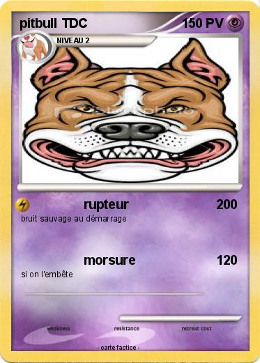 Pokémon pitbull TDC - rupteur - Ma carte Pokémon