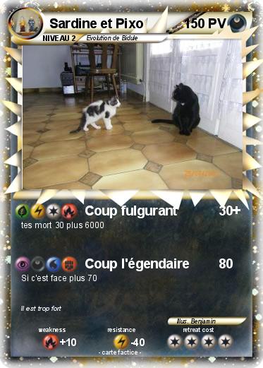 Pokémon Sardine et Pixo - Coup fulgurant - Ma carte Pokémon