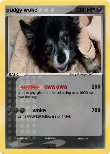 Pokémon pudgy woke - owa owa - My Pokemon Card