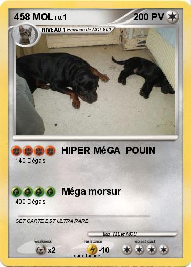 Pokémon 458 MOL - HIPER MéGA POUIN - Ma carte Pokémon