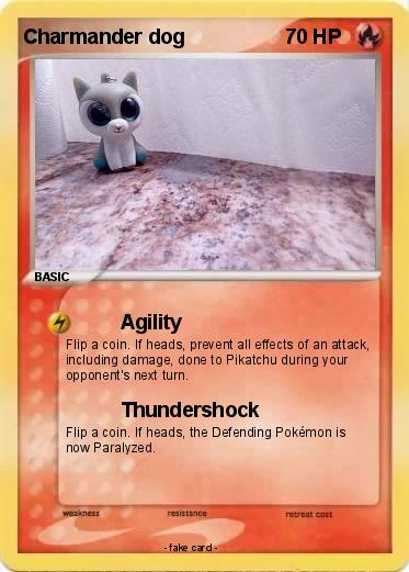 Pokémon Charmander dog - Agility - My Pokemon Card