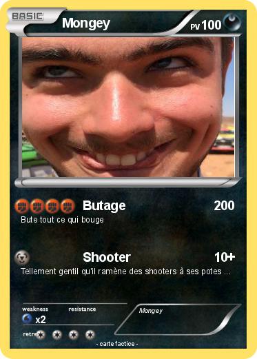 Pokémon Mongey - Butage - Ma carte Pokémon