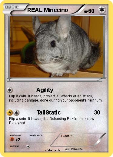 Pokémon REAL Minccino - Agility - My Pokemon Card
