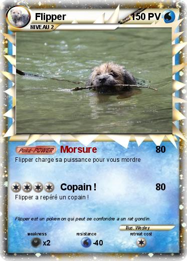 Pokémon Flipper 6 6 - Morsure - Ma carte Pokémon