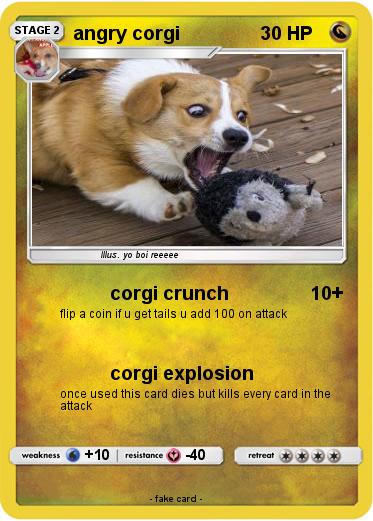 Pokémon angry corgi - corgi crunch - My Pokemon Card