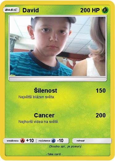 Pokémon David 1760 1760 - Šílenost - My Pokemon Card