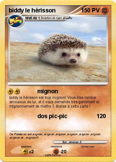 Pokémon biddy le herisson - mignon - Ma carte Pokémon