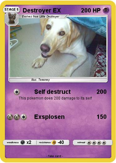 Pokémon Destroyer EX 37 37 - Self destruct - My Pokemon Card