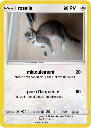 Pokémon rosalie 31 31 - miaoulement - Ma carte Pokémon