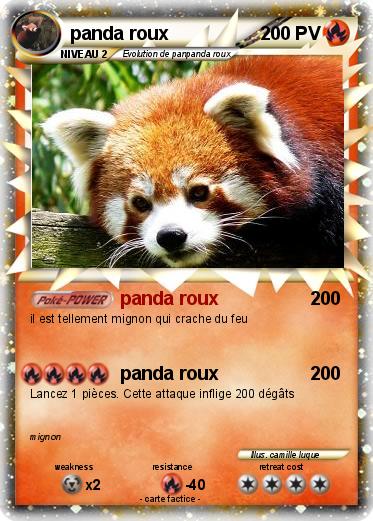 Pokémon panda roux 2 2 - panda roux - Ma carte Pokémon