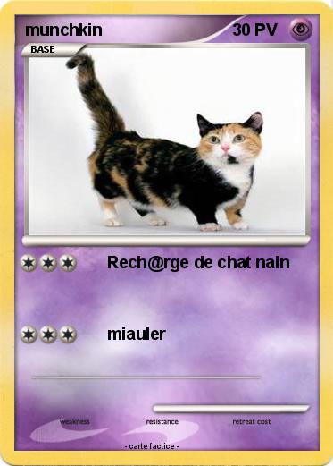 Pokémon munchkin 27 27 - Rech@rge de chat nain - Ma carte Pokémon