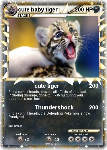 Pokémon cute baby tiger 2 2 - cute tiger - My Pokemon Card