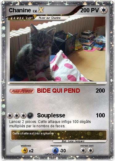 Pokémon Chanine - BIDE QUI PEND - Ma carte Pokémon