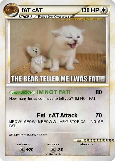Pokémon fAT cAT 60 60 - IM NOT FAT! - My Pokemon Card