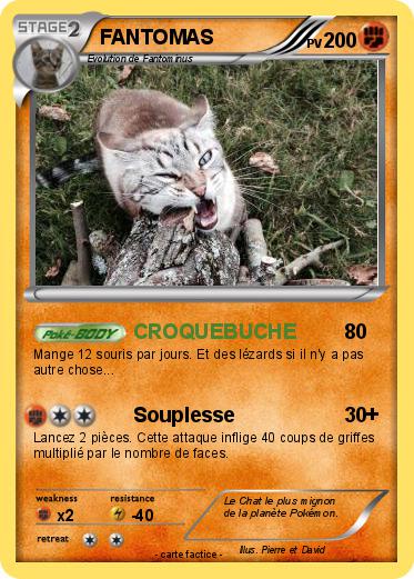 Pokémon FANTOMAS 14 14 - CROQUEBUCHE - Ma carte Pokémon