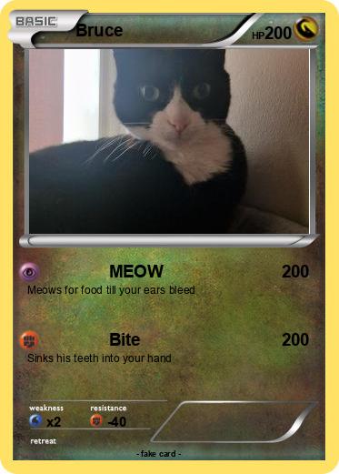Pokémon Bruce 680 680 - MEOW - My Pokemon Card