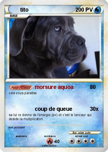 Pokémon tito 9 9 - morsure aquoa - Ma carte Pokémon