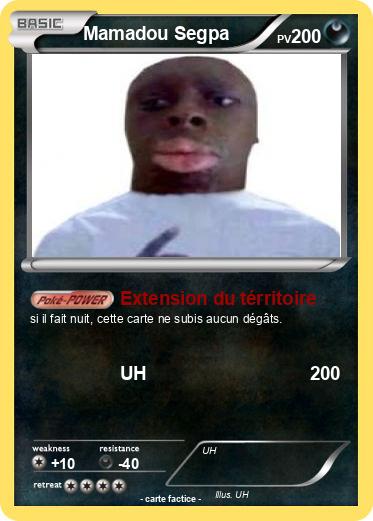 Pokémon Mamadou Segpa 128 128 - Extension du térritoire - Ma carte Pokémon
