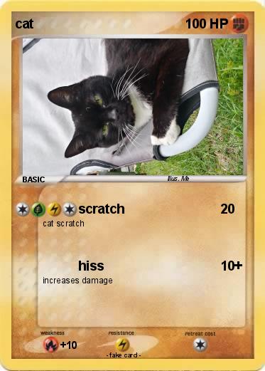 Pokémon cat 3923 3923 - scratch - My Pokemon Card