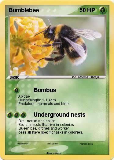 Pokémon Bumblebee 398 398 - Bombus - My Pokemon Card