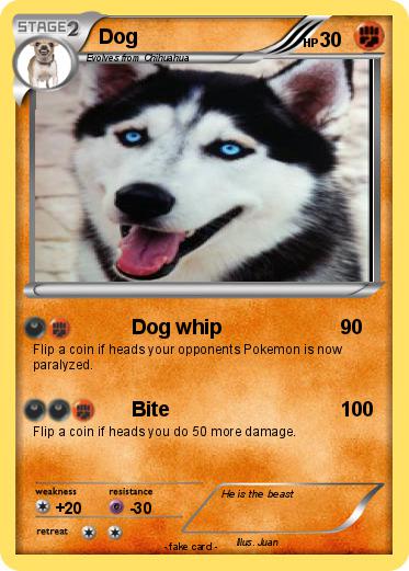Pokémon Dog 1221 1221 - Dog whip - My Pokemon Card