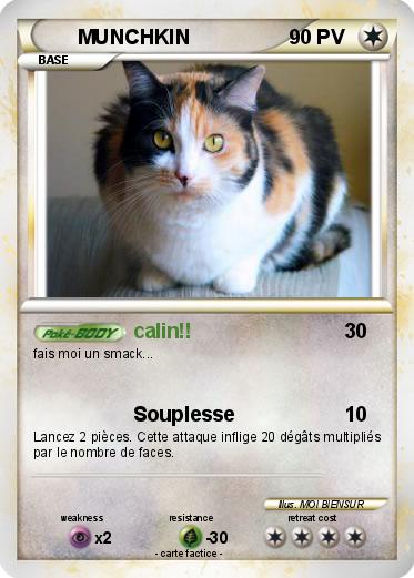 Pokémon MUNCHKIN 19 19 - calin!! - Ma carte Pokémon