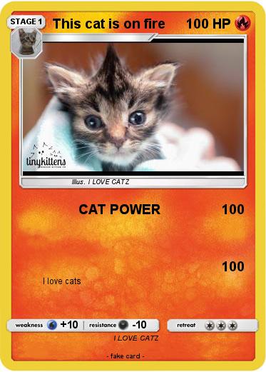 Pokémon This cat is on fire - CAT POWER - My Pokemon Card