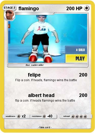 Pokémon flamingo 69 69 - felipe - My Pokemon Card