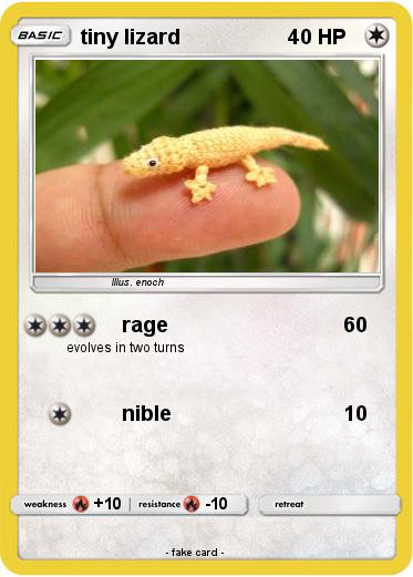 Pokémon tiny lizard - rage - My Pokemon Card