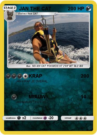 Pokémon JAN THE CAT - KRAP - My Pokemon Card