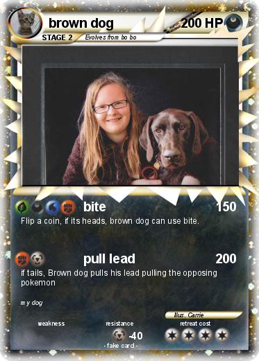 Pokémon brown dog 3 3 - bite - My Pokemon Card