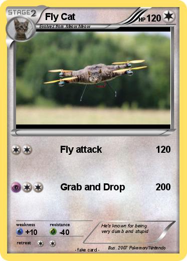 Pokémon Fly Cat 4 4 - Fly attack - My Pokemon Card