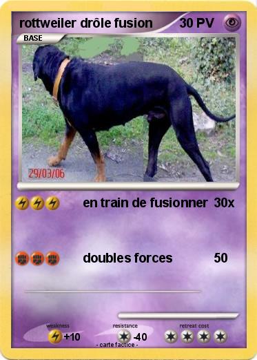 Pokémon rottweiler drole fusion - en train de fusionner - Ma carte Pokémon